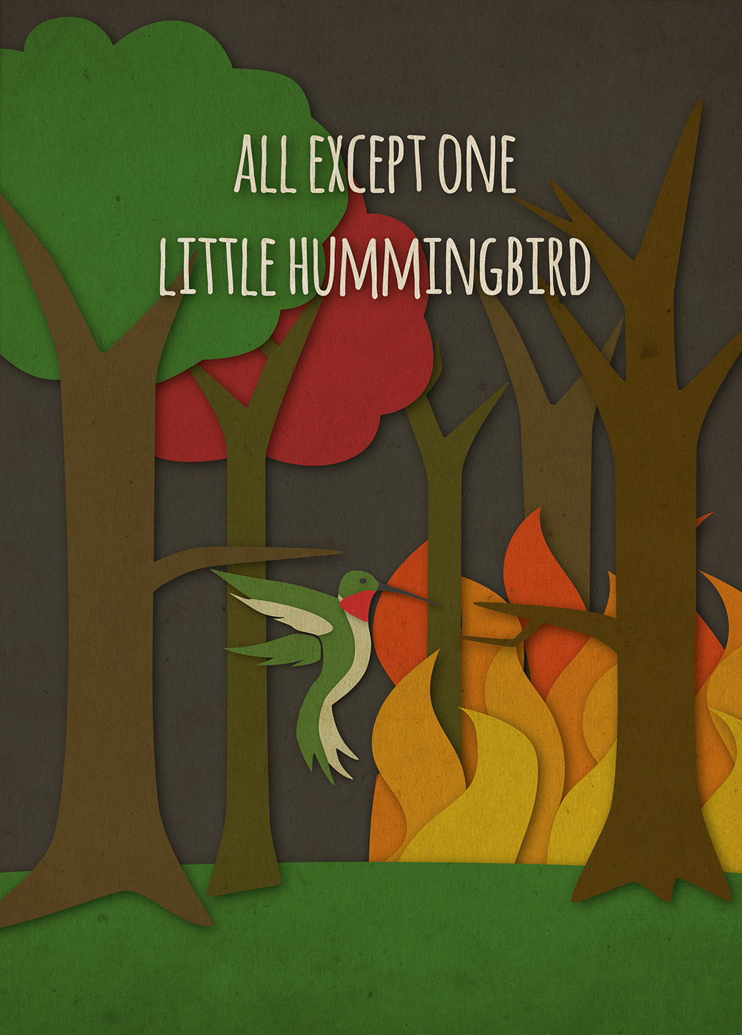 The Hummingbird and the Forest Fire | Studio Colibri