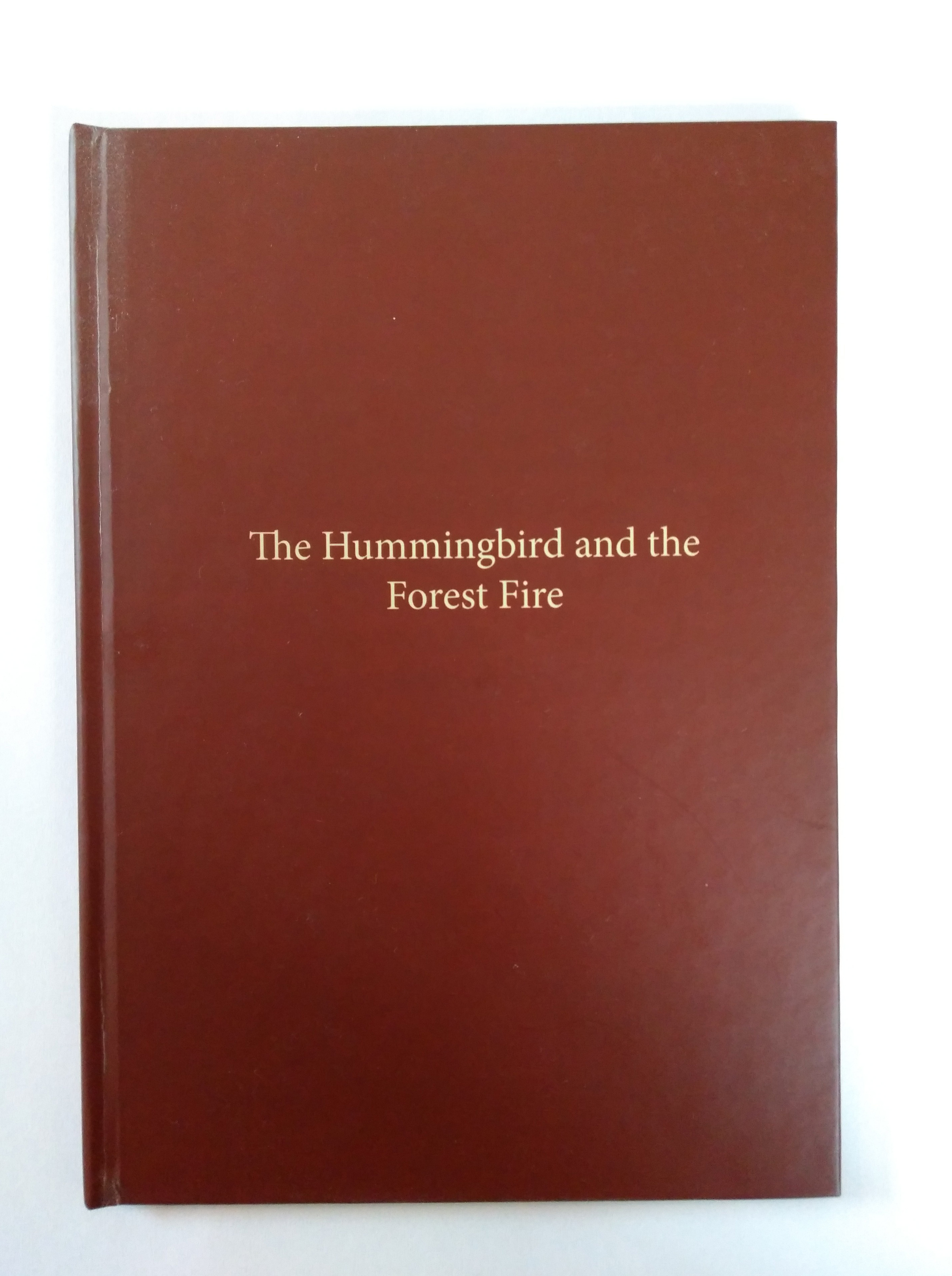 The Hummingbird and the Forest Fire | Studio Colibri
